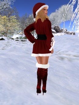 Second Life Marketplace - Santa Girl Dress
