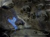 Second Life Marketplace - Digital photo art / ceramics / glass: Several ...