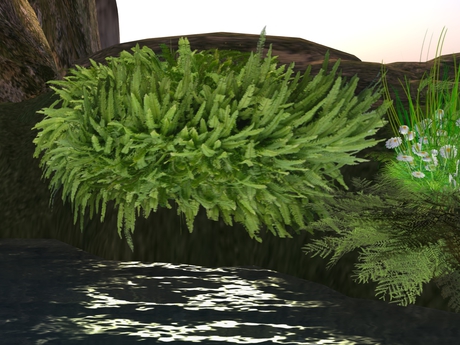 Second Life Marketplace - ANIMATED FLEXIBLE FERN -WINDY LEAVES