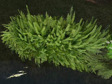 Second Life Marketplace - ANIMATED FLEXIBLE FERN -WINDY LEAVES