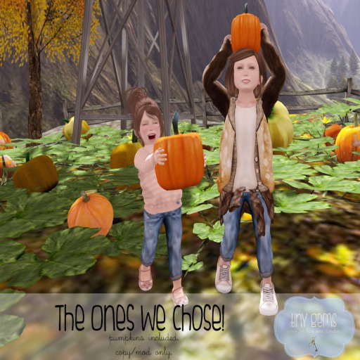 Second Life Marketplace - {tg.} - The Ones We Chose (boxed)