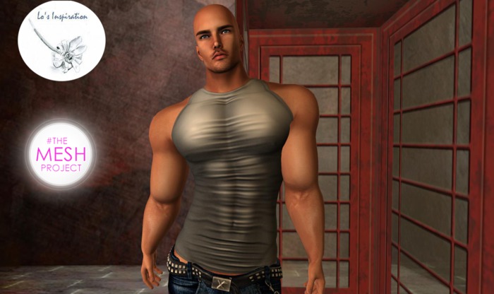 Second Life Marketplace - Lo's Male Tank Grey TMP Applier