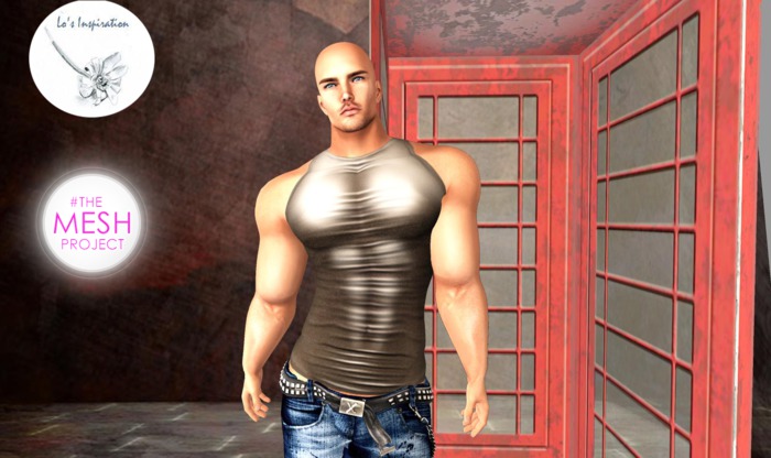 Second Life Marketplace - Lo's Male Tank Brown TMP Applier