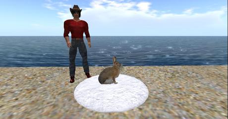 Second Life Marketplace - Snowshoe Hare Rabbit - Western Rocky Mountain ...