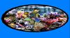 Second Life Marketplace - ~P.D. ~ 3 Prim Animated Aquarium round Reef Dream