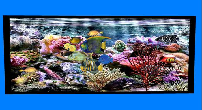 Second Life Marketplace - ~P.D. ~ 3 Prim Animated Aquarium Reef Dream