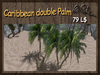 Second Life Marketplace - [Summer Feeling] - Caribbean double Palm Set