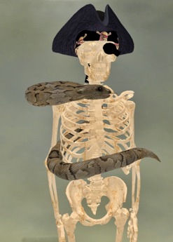 Second Life Marketplace - Snake and Skelett (MP)
