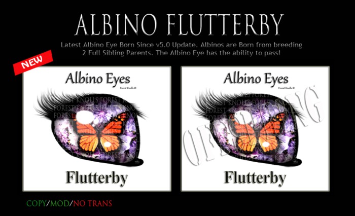 Second Life Marketplace - FLUTTERBY ALBINO EYE SIGNS & OFFSPRING