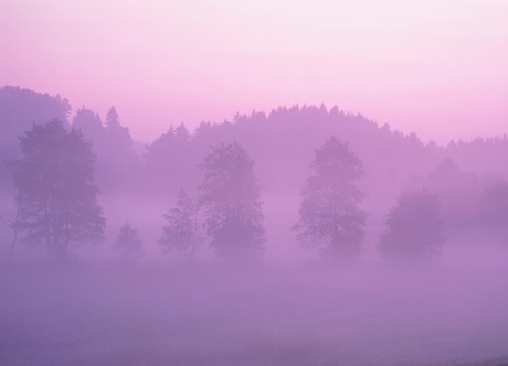 Purple Mist Background