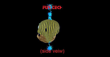 Second Life Marketplace - [Fur Tech] Animal Hat Unibrow Monster blue/yellow