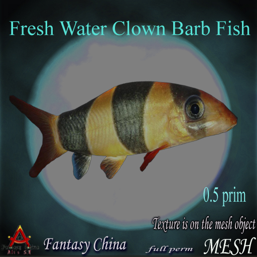 Second Life Marketplace - Fantasy China Mesh Fresh Water Clown Barb ...
