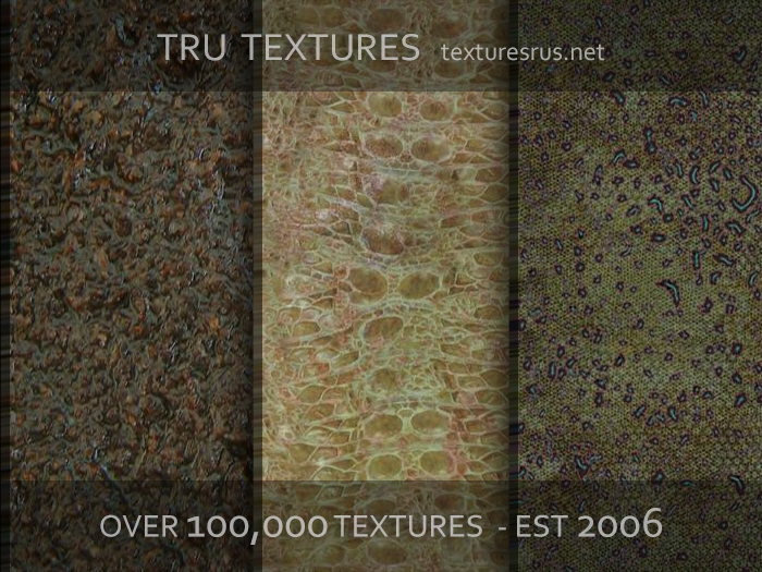Second Life Marketplace - 28155: 26 x Seamless Organic Skin Textures By ...