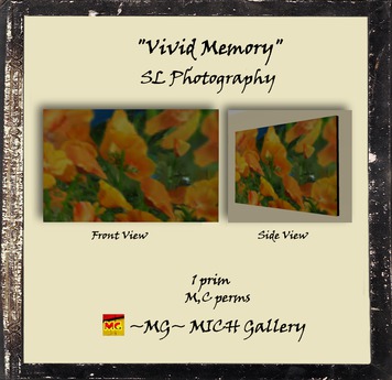 Second Life Marketplace - Vivid Memory