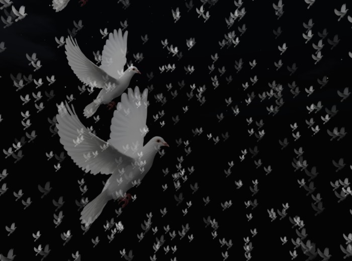 Second Life Marketplace - ~Valentines Day~ swarm of white Doves \\by ...