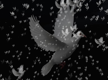 Second Life Marketplace - ~Valentines Day~ swarm of white Doves \\by ...