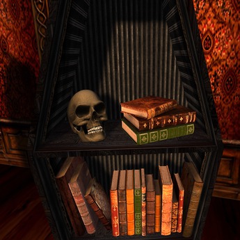 Second Life Marketplace - The Poe Coffin Book Shelf - Mesh - 7 Prims ...