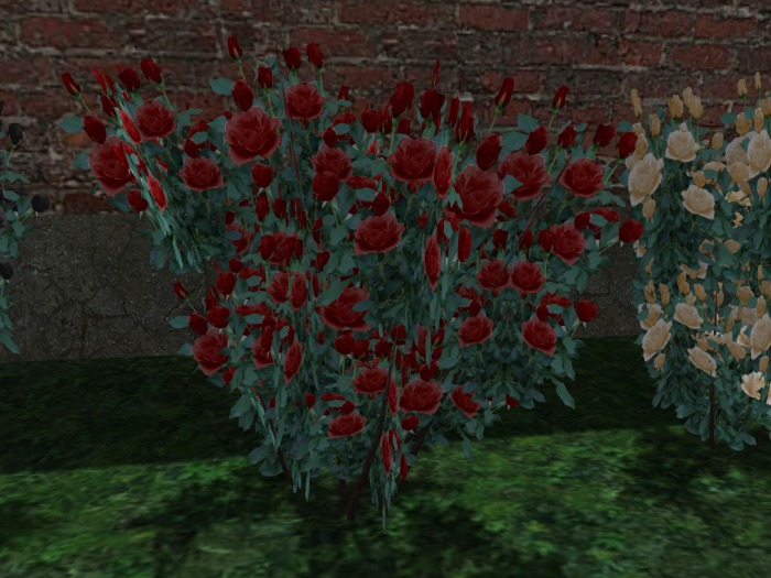 Second Life Marketplace - OPQ Gardens Rosebush 01C Red, low prim, high ...