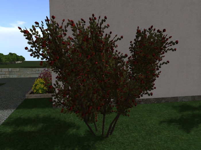 Second Life Marketplace - OPQ Gardens Rosebush 01D Red 1, low prim ...