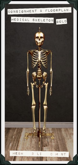 Second Life Marketplace - [Con.&floorplan.] Medical Skeleton - Gold [boxed]