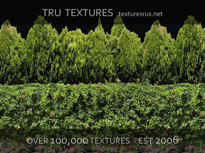 Second Life Marketplace - 10851: 12 x Seamless Hedge Bush Shrub ...