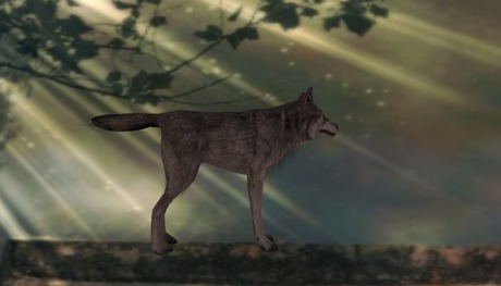 Second Life Marketplace - wolf mesh lobo