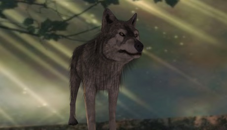 Second Life Marketplace - wolf mesh lobo