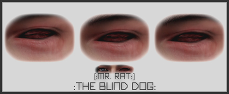 Second Life Marketplace - [:Mr. Rat:] :The Blind Dog: Eye socket