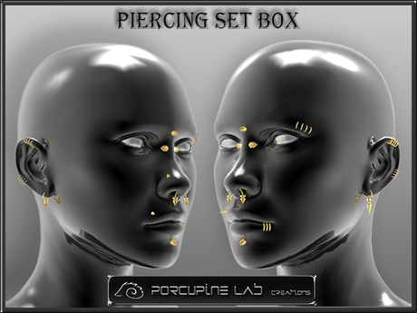 Second Life Marketplace - [PL] - DEMO - Piercing Set Box