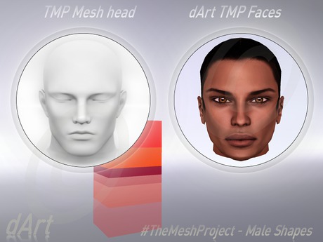 Second Life Marketplace - MEDIUM - Male TMP shapes #TheMeshProject PROMO