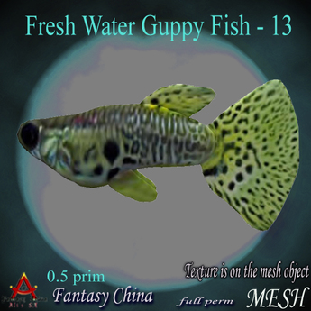Second Life Marketplace - Fantasy China Mesh Fresh Water Guppy Fish ...
