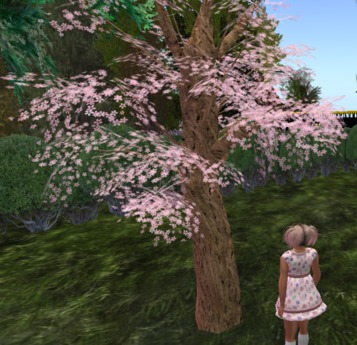 Second Life Marketplace - Pied Piper Blossom Tree