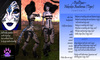 Second Life Marketplace - ***>>PixelPaws