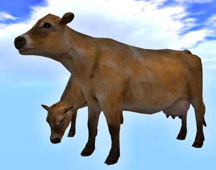 Second Life Marketplace - Cow 1 and 2( MP )