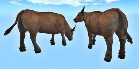 Second Life Marketplace - Cow 5 and 6( MP )