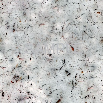 Second Life Marketplace - Texture: Needles on the snow ground *FULL ...
