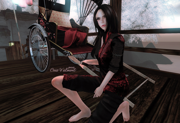 Second Life Marketplace - CV poses - SamuraiGirl