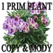 Second Life Marketplace - * GuTi 1 prim plant copyable Parrot Lily