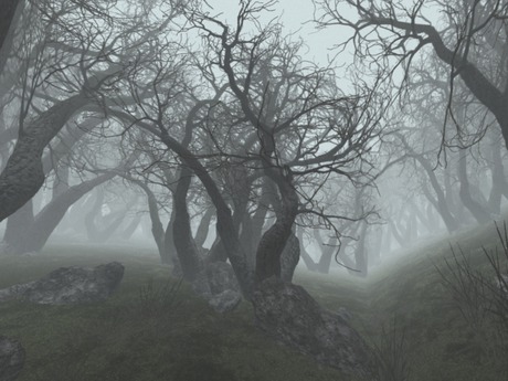 Second Life Marketplace - ~WM~ Spooky Forest Mesh Skybox Unfurnished