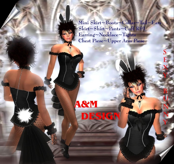 Second Life Marketplace Sexy Bunny Outfit ~ Box
