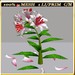 Second Life Marketplace - LW_ Stargazer Lily - 15 (1 LI / Prim)