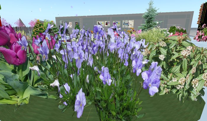 Second Life Marketplace - plants Viola