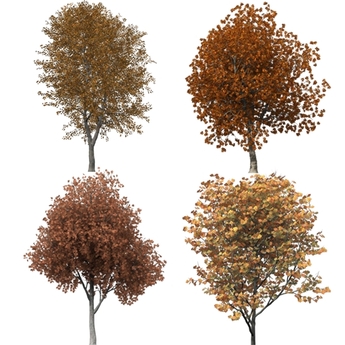 Second Life Marketplace - 12 Autumn Tree Plant Textures Builders Pack