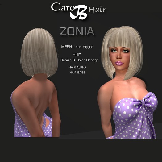 Second Life Marketplace - CaroB Hair ZONIA DEMO* Boxed