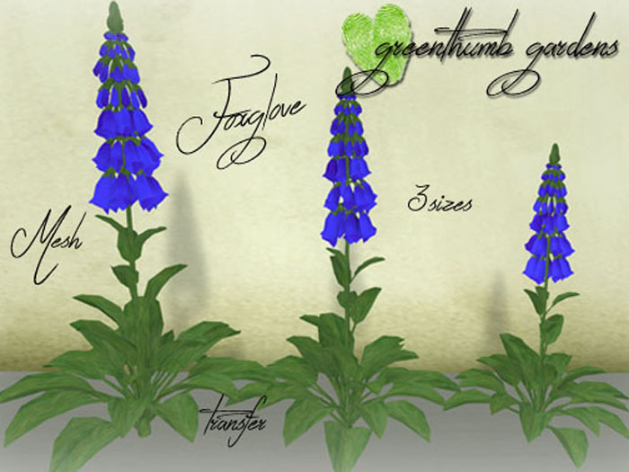 Second Life Marketplace - {GTG} FOXGLOVE ROYAL PERIWINKLE (T)