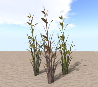 Second Life Marketplace - T-Spot Sparsely Leafed Shrub - Full Perm Kit ...