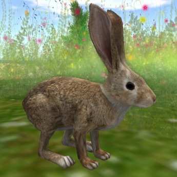 Second Life Marketplace - Easter Rabbits