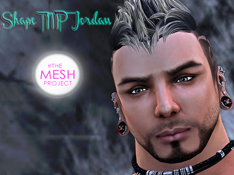 Second Life Marketplace - ** Male shape TMP + toast standard set Jordan