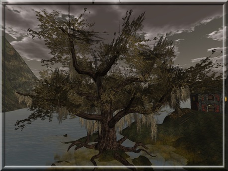 Second Life Marketplace - ~*SR*~ Ancient Gothic Swamp Tree c/m Box