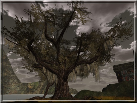Second Life Marketplace - ~*SR*~ Ancient Gothic Swamp Tree c/m Box